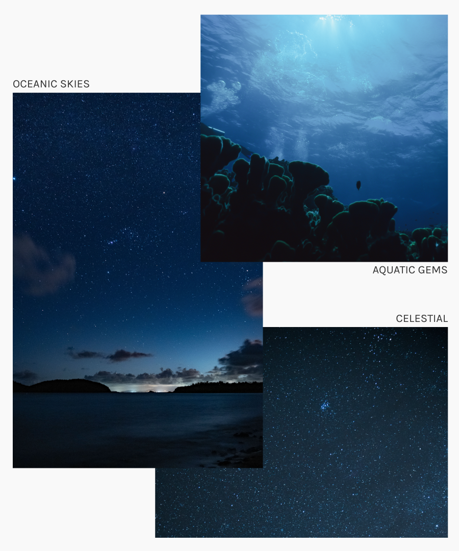 Ocean Star Midnight Ocean celebrates the divine union of these two ...